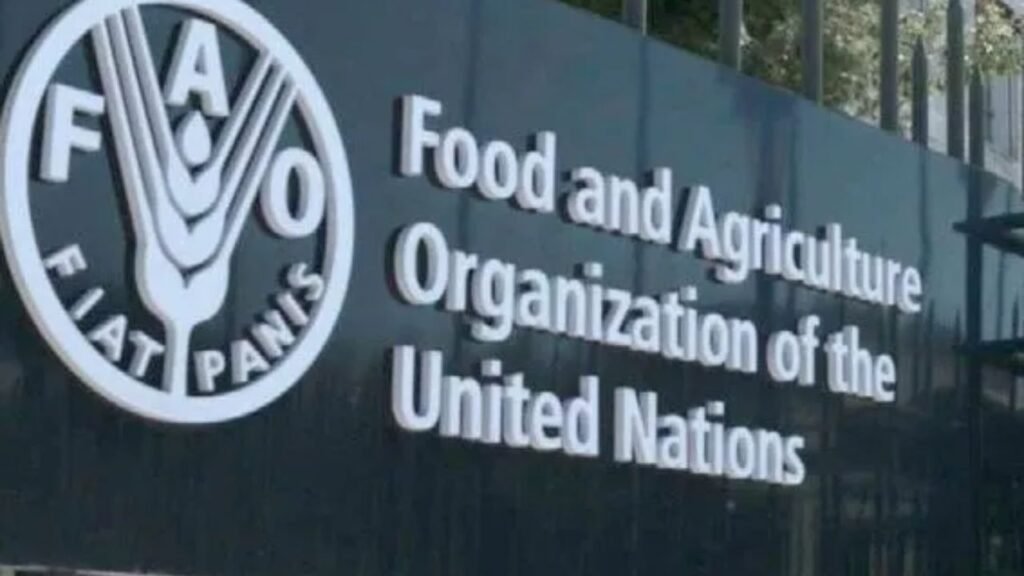 Morocco Re-Elected to FAO Council, Extends Mandate Through 2029 - The ...