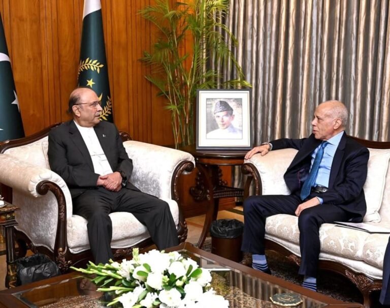 President Zardari Stresses Strengthening Pakistan–Morocco Economic ...